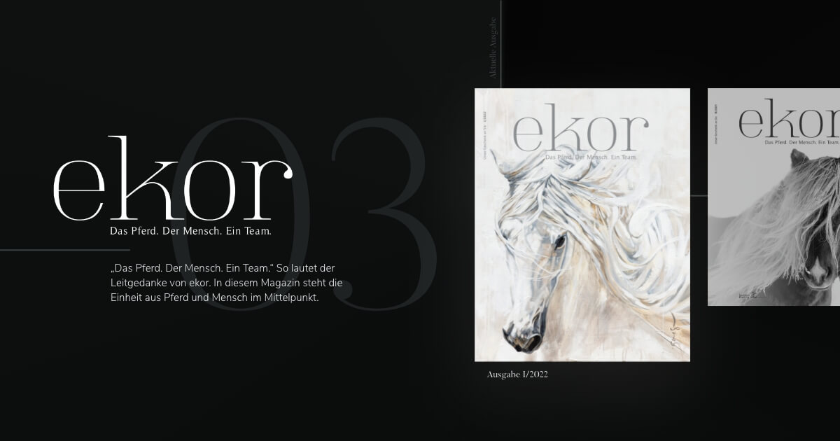 Ein Team. [II/2021] Archive | ekor
