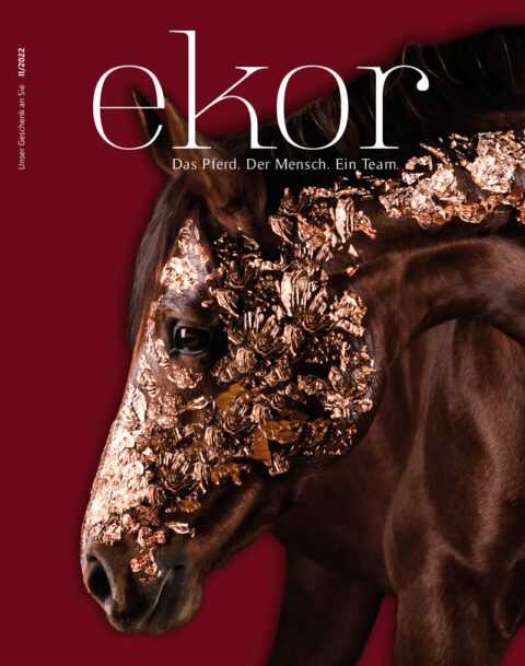 Ausgabe II/2022 | ekor